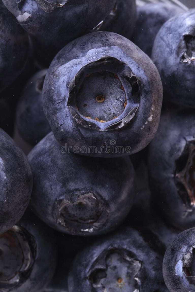 4,636 Blueberry Backdrop Stock Photos - Free & Royalty-Free Stock ...