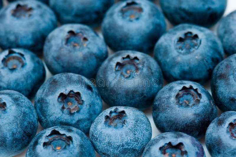 Blueberry stock photo. Image of summer, macro, healthcare - 2031072
