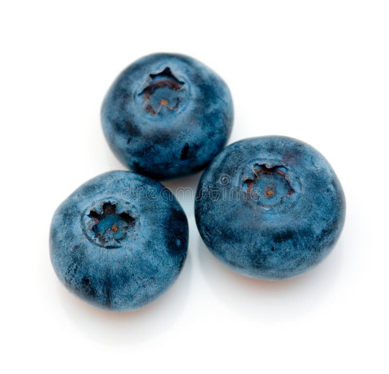 Blueberry stock photo. Image of summer, macro, healthcare - 2031072