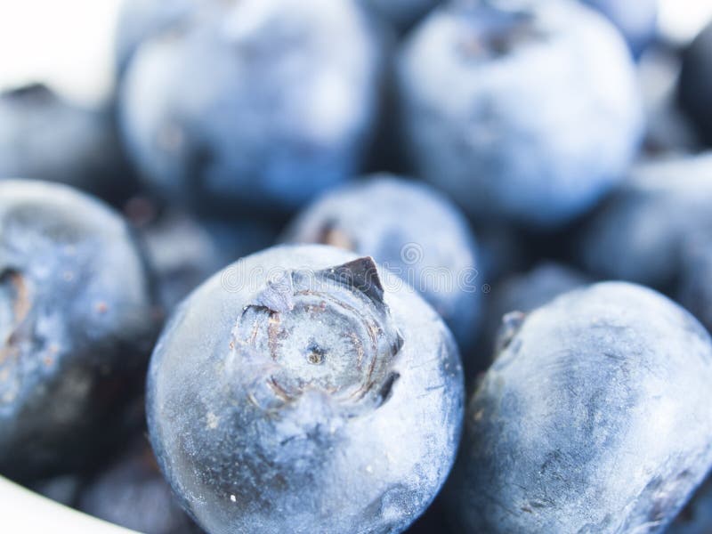 Blueberry stock image. Image of blue, berry, blueberries - 24832989