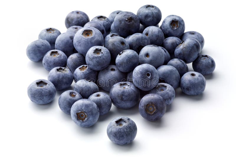 Blueberry stock image. Image of fresh, berry, white, blueberry - 25211207