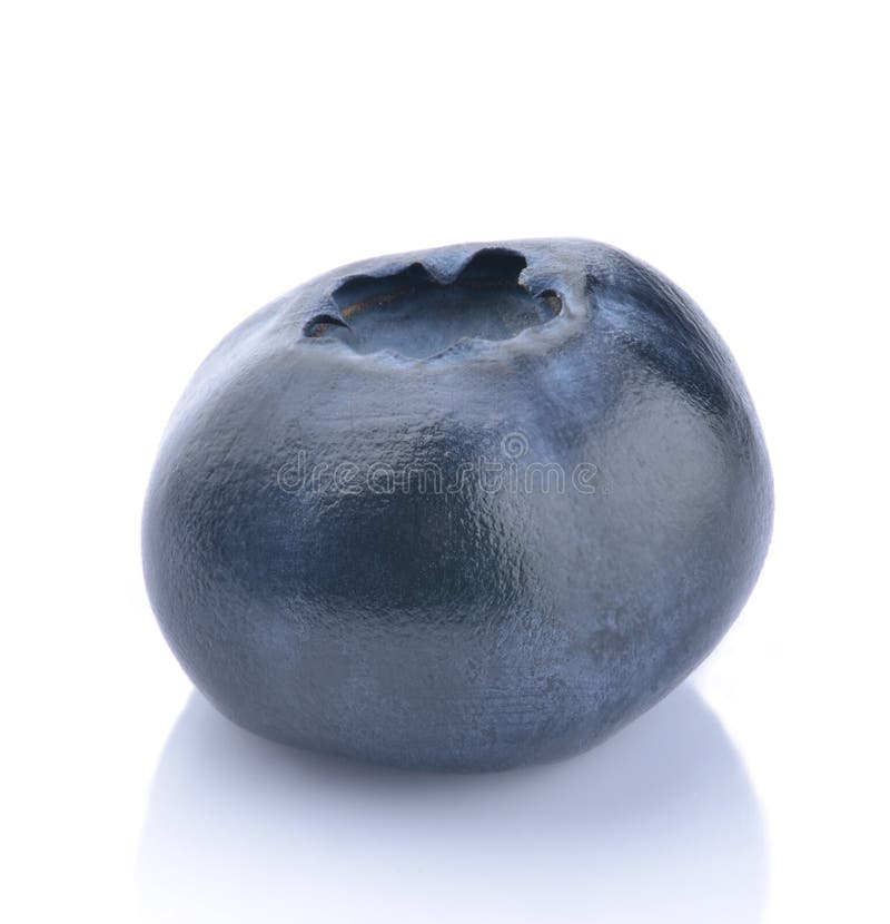 Fresh one blueberry stock photo. Image of background - 56986412