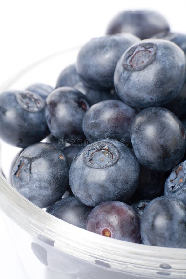 Blueberry stock photo. Image of berry, freshness, ripe - 2998254