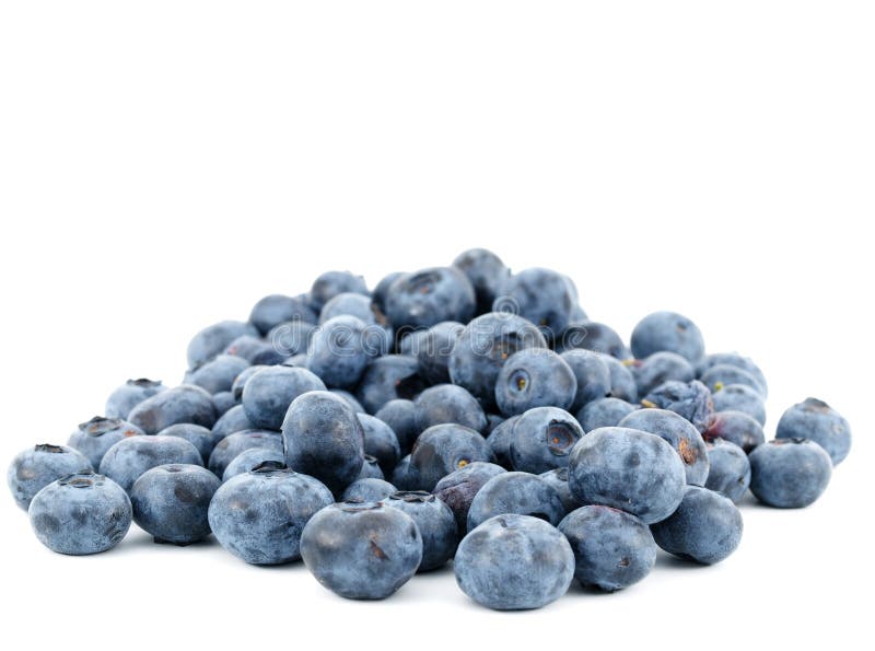 Blueberry stock image. Image of fresh, berry, white, blueberry - 25211207