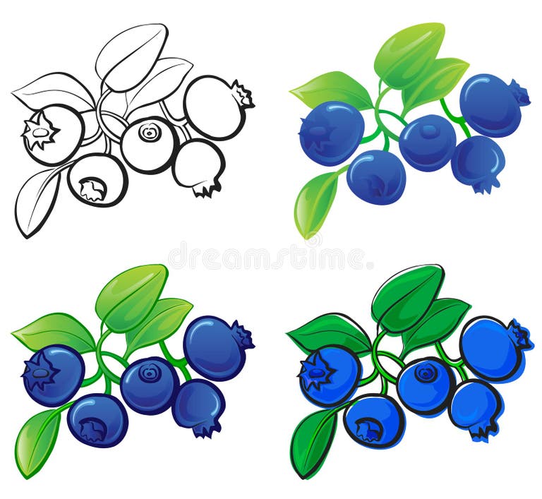 Outline Blueberry Stock Illustrations – 5,417 Outline Blueberry Stock ...