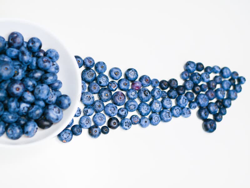 Blueberry Composition. Fresh Berries with Leaves. Hand Drawn Watercolor ...