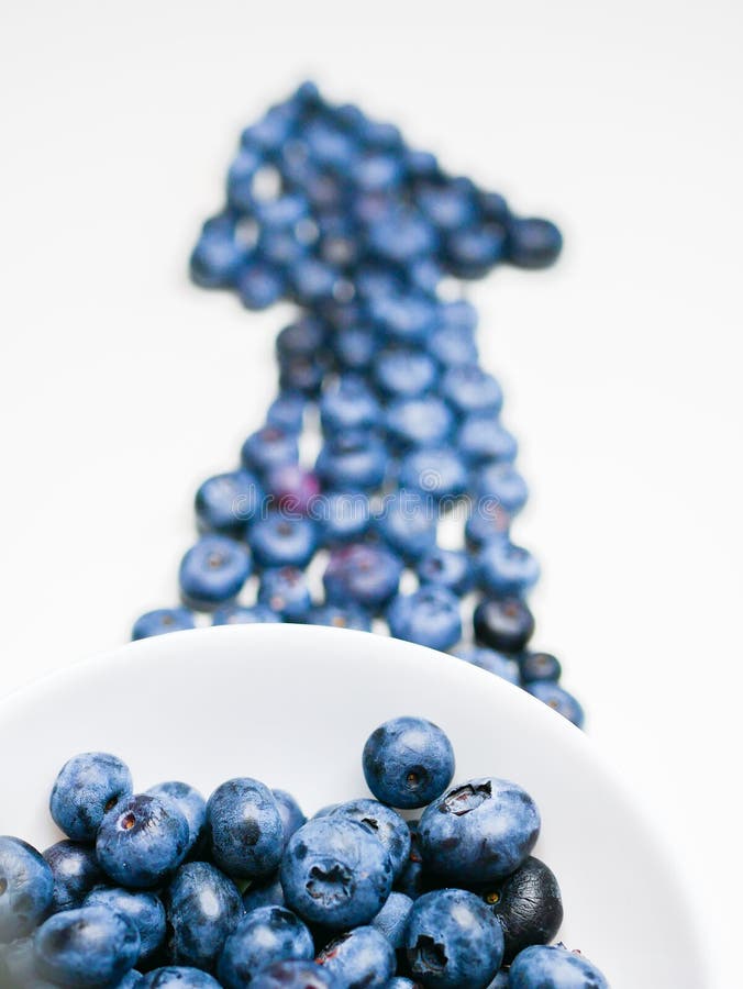 Blueberry Composition. Fresh Berries with Leaves. Hand Drawn Watercolor ...