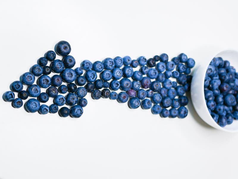 Blueberry Composition. Fresh Berries with Leaves. Hand Drawn Watercolor ...