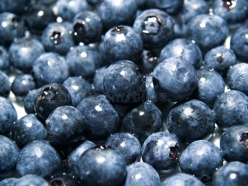 Blueberry Background stock photo. Image of round, leaves - 2743338