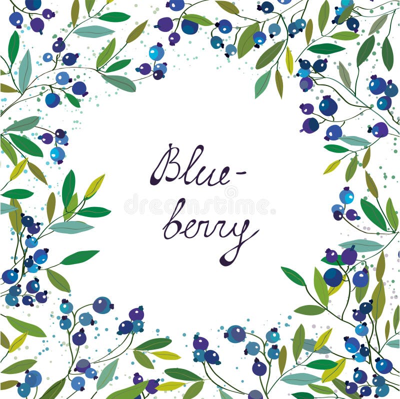 Blueberry Background for the Label or Card Stock Vector - Illustration ...