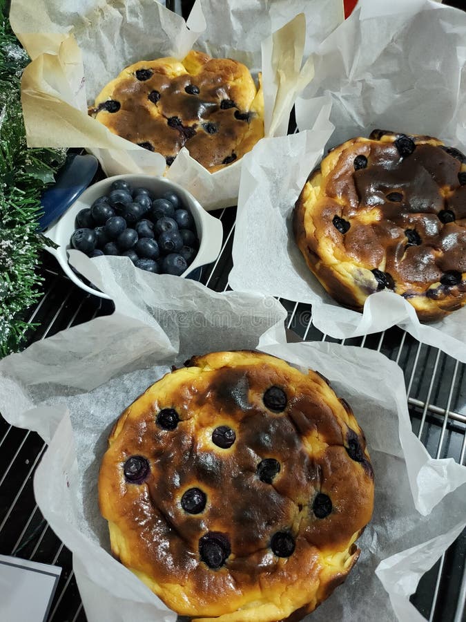 Blueberry Basque Burnt Cheesecake Stock Image - Image of cheesecake ...