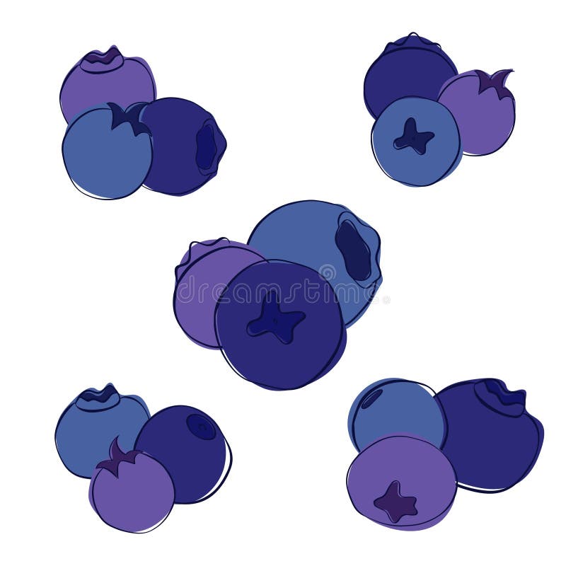 Blueberry Big Set Composition Graphic Outline Style. Vector ...