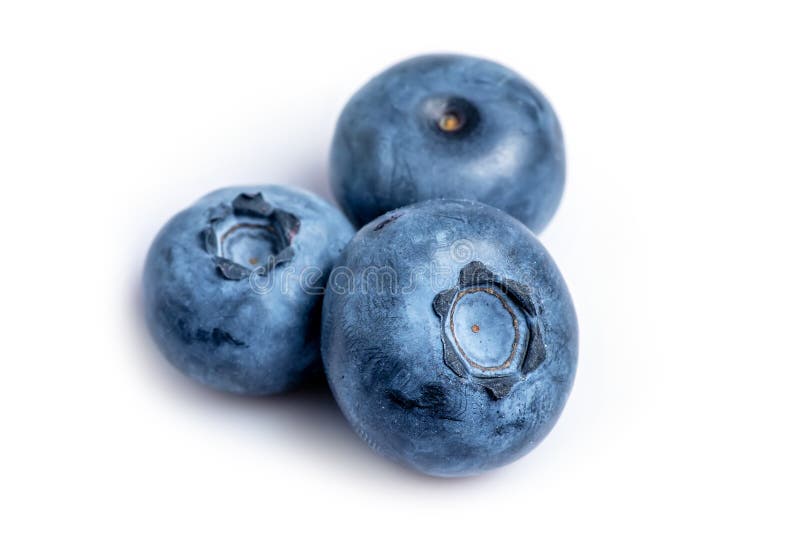 Blueberry. Blueberries Set Isolated on White Background Stock Photo ...