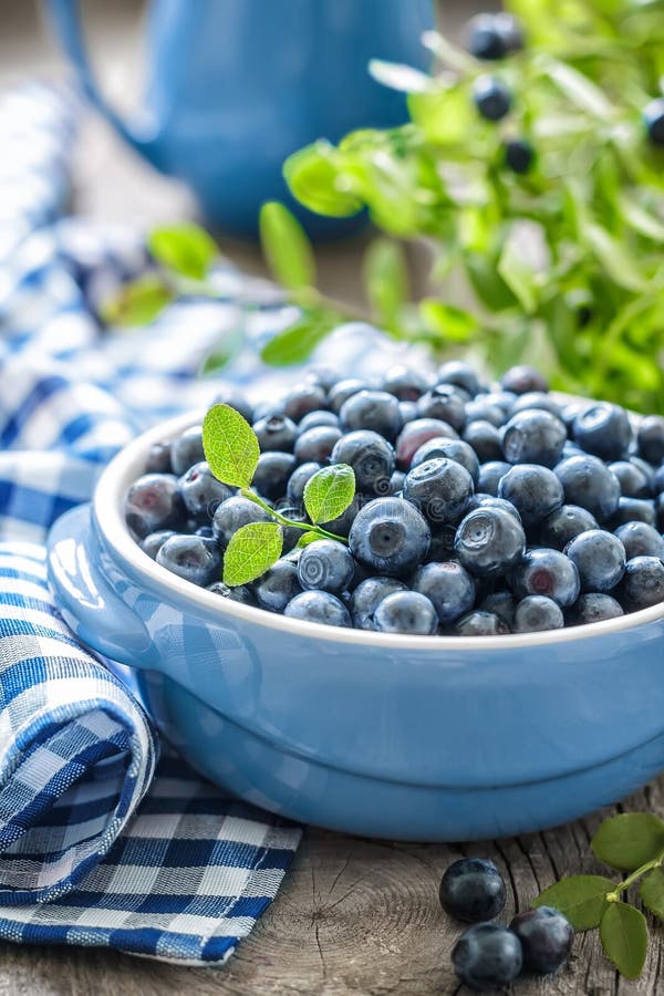 Blueberry stock image. Image of gourmet, blue, healthy - 32718427