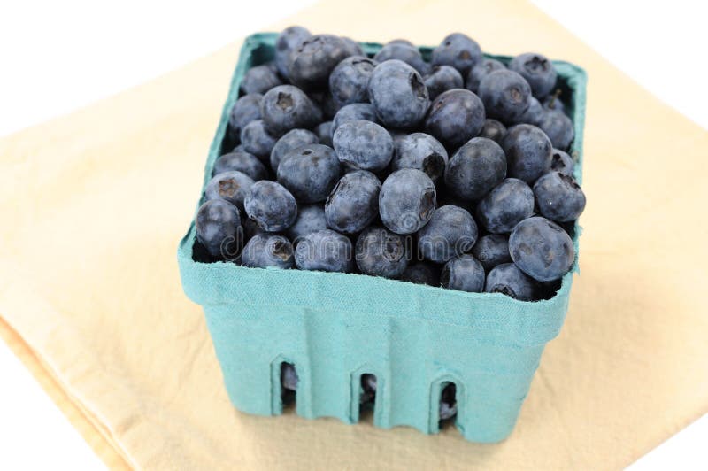 Blueberry stock image. Image of berry, bucket, blueberry - 42403283