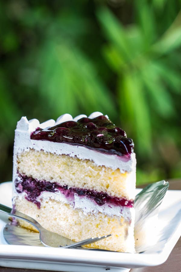 Blueberry cake stock image. Image of sour, cream, portion - 43288331