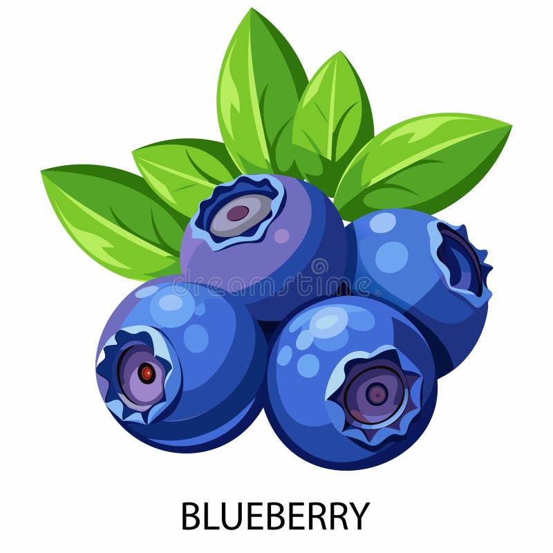 Blueberry in Cartoon Style on a White Background. Stock Vector ...