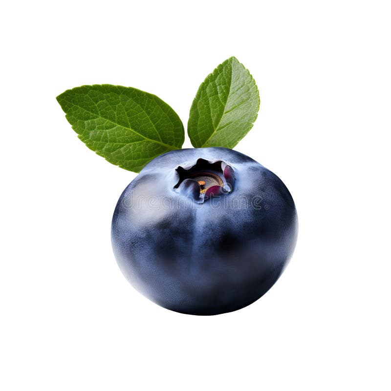 Blueberry Character with a Complete, Vividly Colored Figure Displayed ...