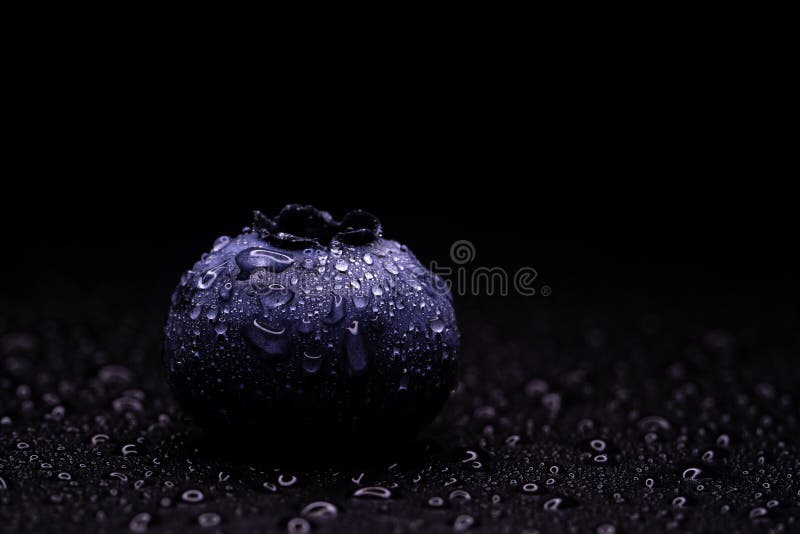 Blueberry Close-up, Blue Berry on a Black Background Stock Photo ...