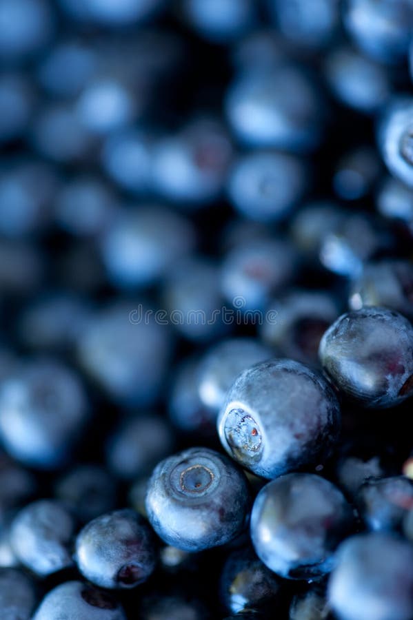 Blueberry closeup stock photo. Image of light, tasty - 43345192
