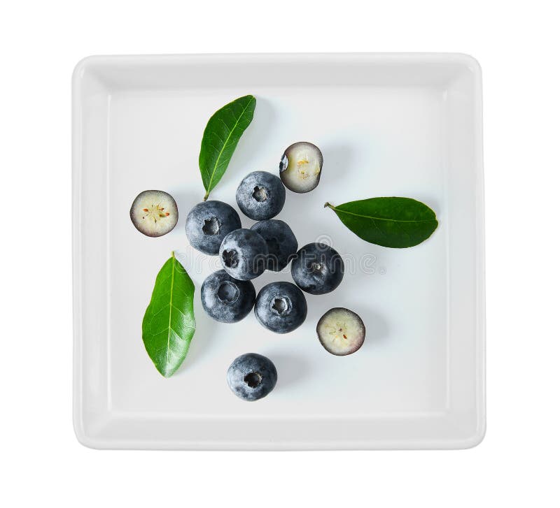Blueberry Collection in Ceramic Plate on White Background Stock Image ...