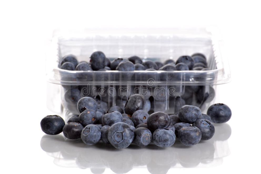 Blueberry Container stock photo. Image of white, healthy - 29676956