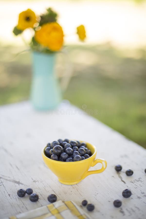 Blueberry cup stock photo. Image of picked, grown, flowers - 50922754