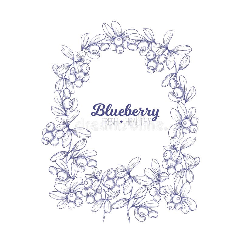 Blueberry. Element for Design. Stock Vector - Illustration of ...