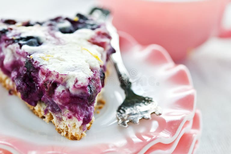 Blueberry Flan stock image. Image of close, gourmet, piece - 10301717