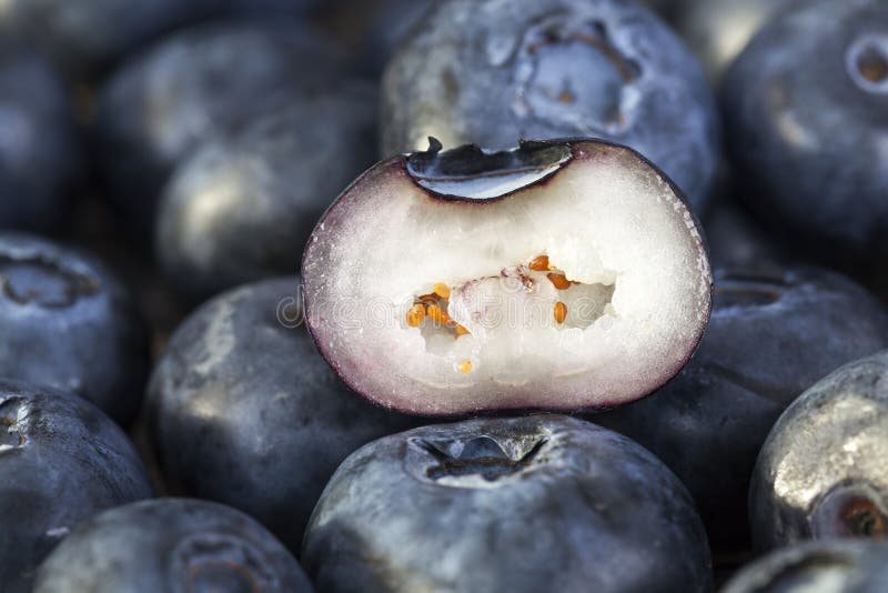 Blueberry flesh stock photo. Image of juicy, food, delicious - 132902318