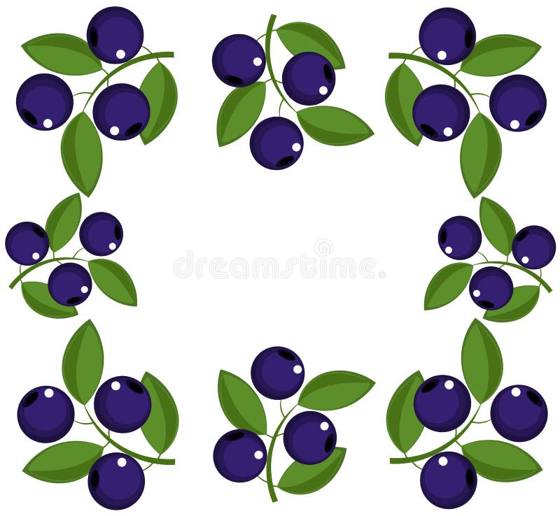 Blueberry Frame Isolated on White Background. Stock Illustration ...