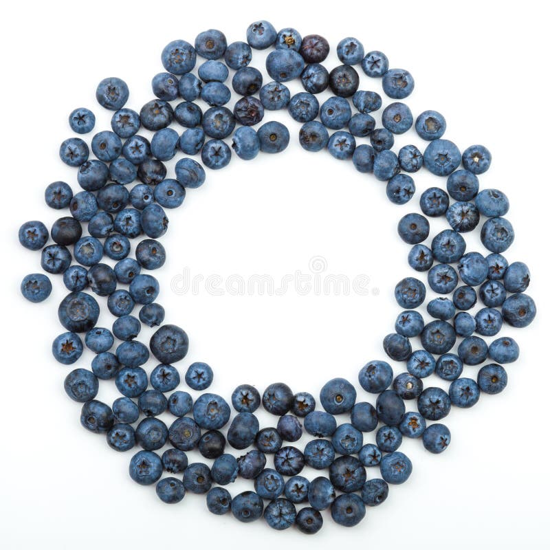 Blueberry Frame. Watercolor Vintage Illustration. Isolated on a White ...