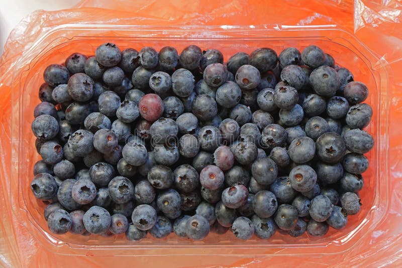 Blueberry stock image. Image of berries, food, tray, ripe - 78513707