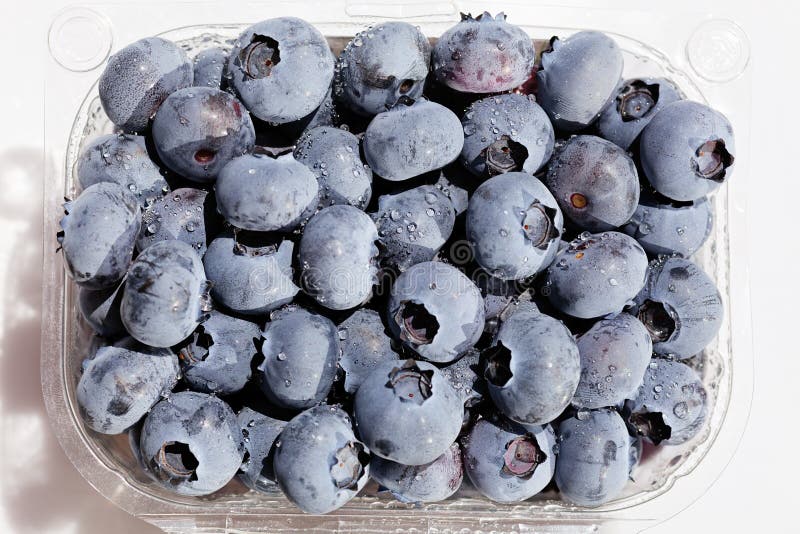 Blueberry fruit in box stock image. Image of sweet, fruit - 75966221