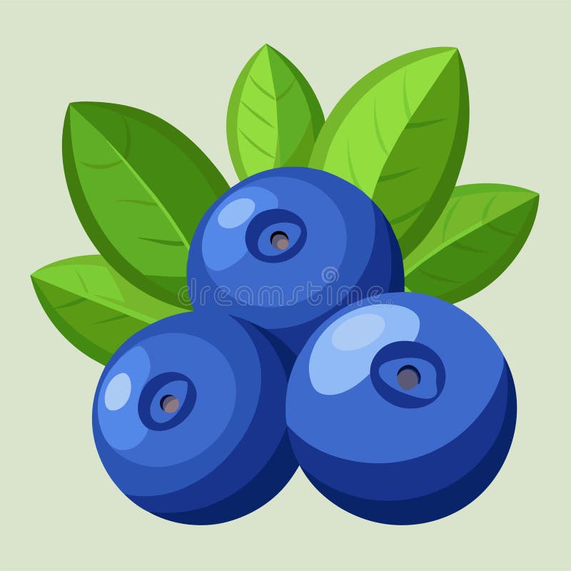 Blueberry Fruit Simple Blueberry Fruit Cute Repeat Illustration Stock ...