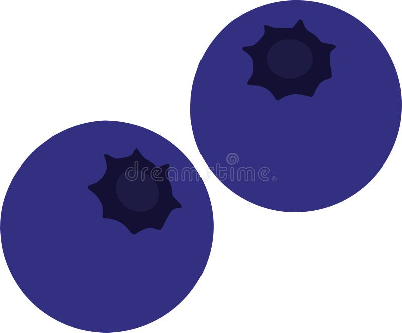 Blueberry Fruit with Hand Draw Icon LOGO Stock Vector - Illustration of ...