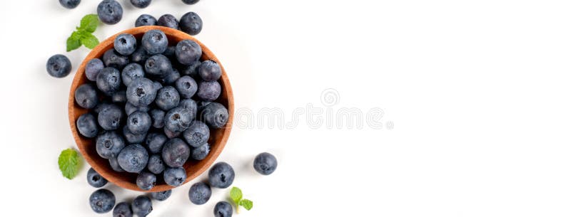 Blueberry Fruit Top View Isolated on a White Background, Flat Lay ...