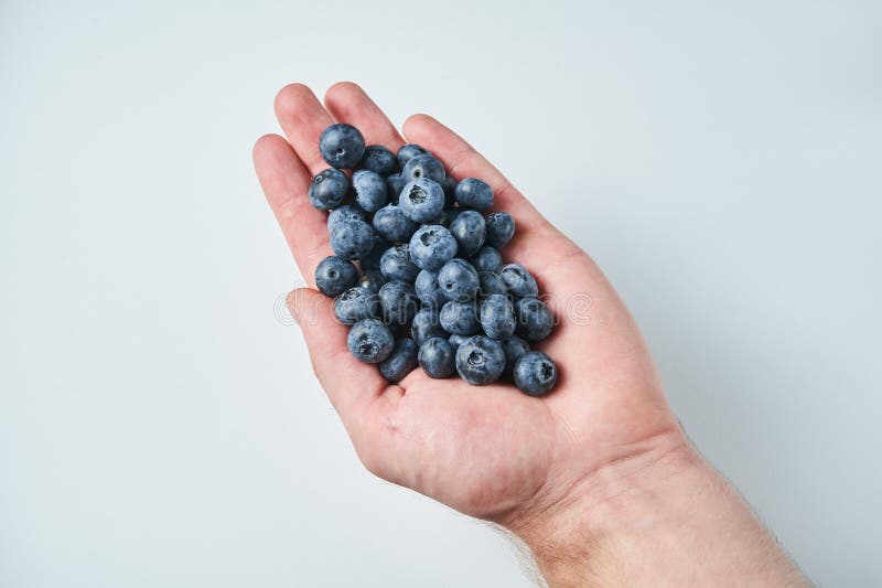 Blueberry in Hand on White. Male Hand Stock Photo - Image of blue, food ...
