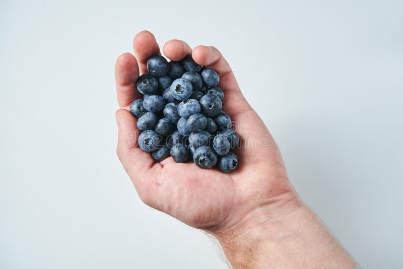 Blueberry in Hand on White. Male Hand Stock Photo - Image of full ...