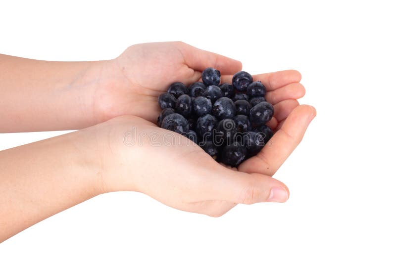 Blueberry Hand Women Isolated on White Background Stock Photo - Image ...