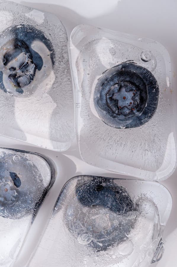 Blueberry in the ice cube stock photo. Image of clear - 153852644