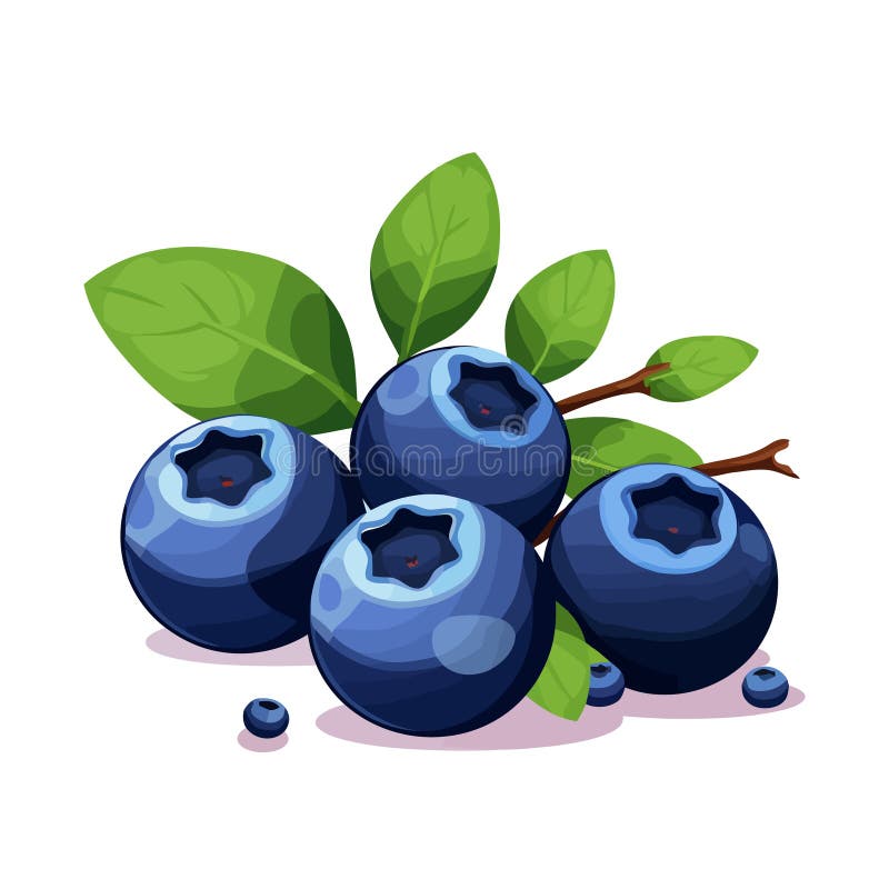 Blueberry Image. Cute Image of an Isolated Blueberry. Vector ...