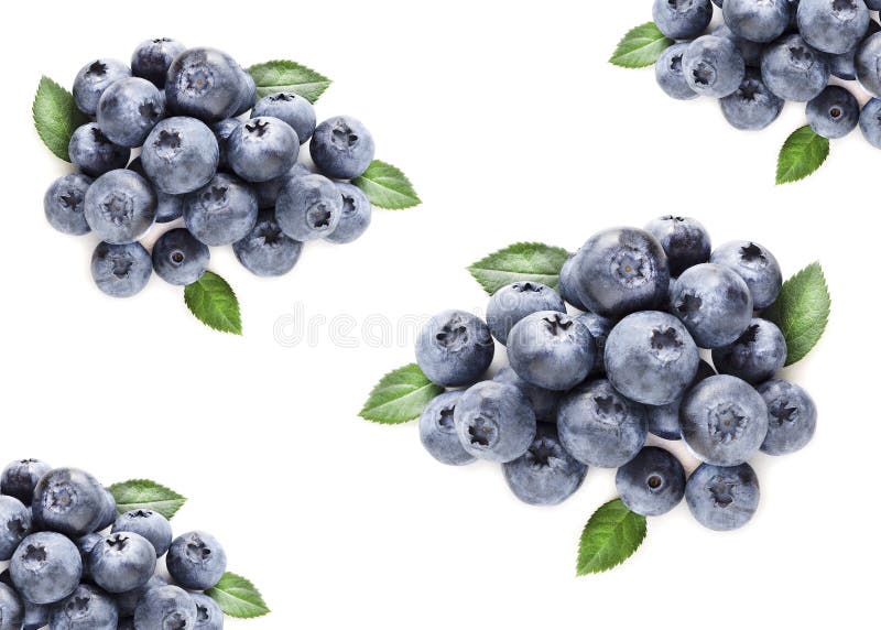 Blueberry Isolate on White. View from Above Stock Image - Image of ...