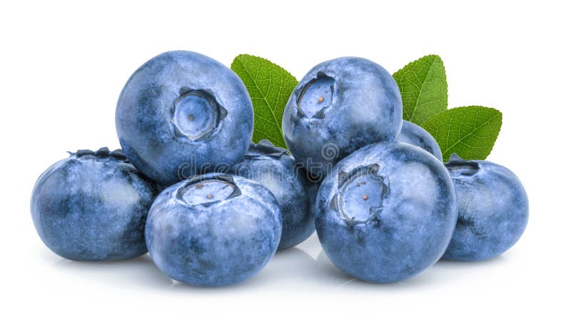 Blueberry Isolated on White Background Stock Image - Image of ripe ...