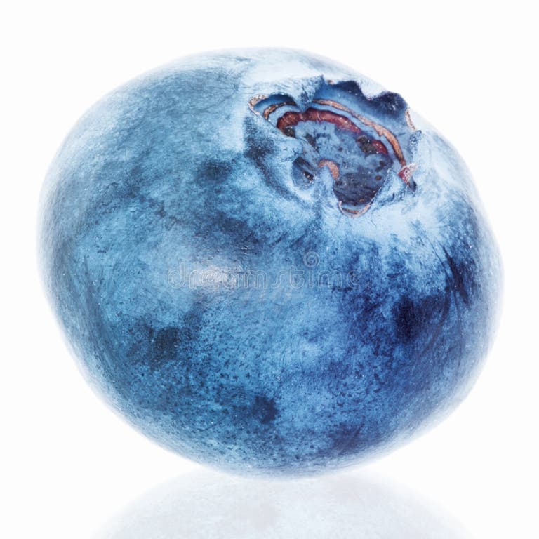 5,993 Single Blueberry Stock Photos - Free & Royalty-Free Stock Photos ...