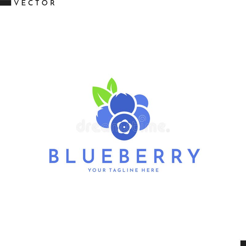 Blueberry logo stock vector. Illustration of food, blueberry - 307805176