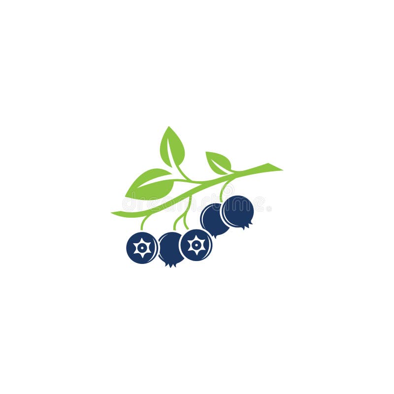 Blueberry Logo Vector Template Icon Illustration Stock Vector ...