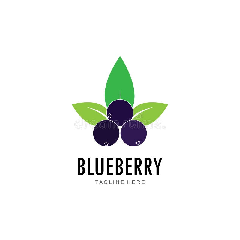 Blueberry Logo Vector Template Stock Vector - Illustration of pack ...