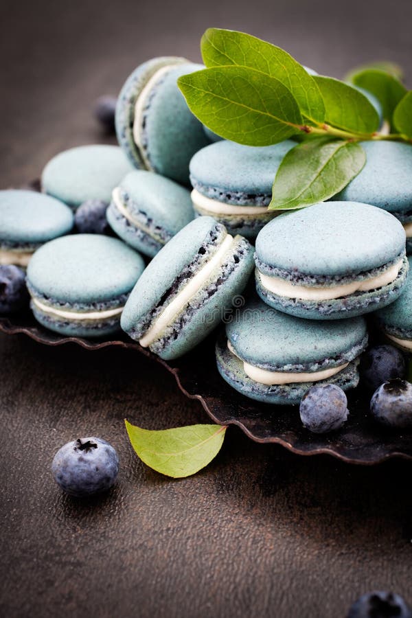 Blueberry macaroons stock photo. Image of colours, filling - 33996290