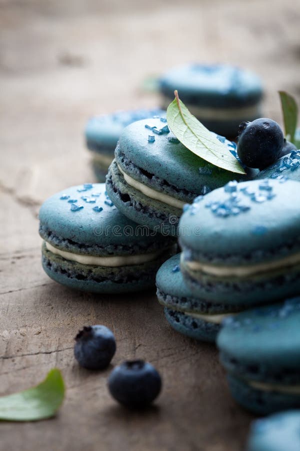 Blueberry macaroons stock photo. Image of berries, biscuit - 33996232
